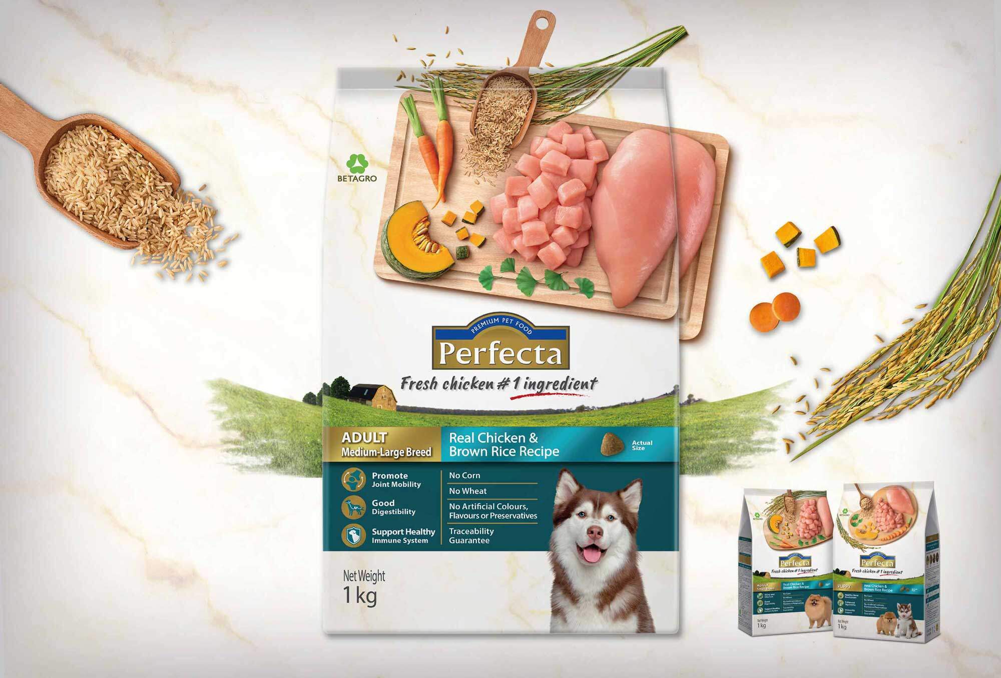 Perfecta : Packaging - strategic design agency