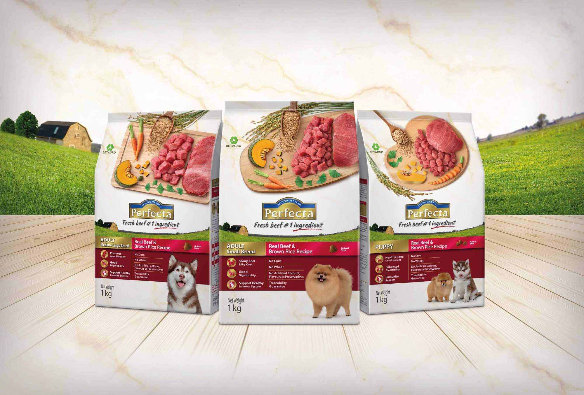 Perfecta : Packaging - strategic design agency