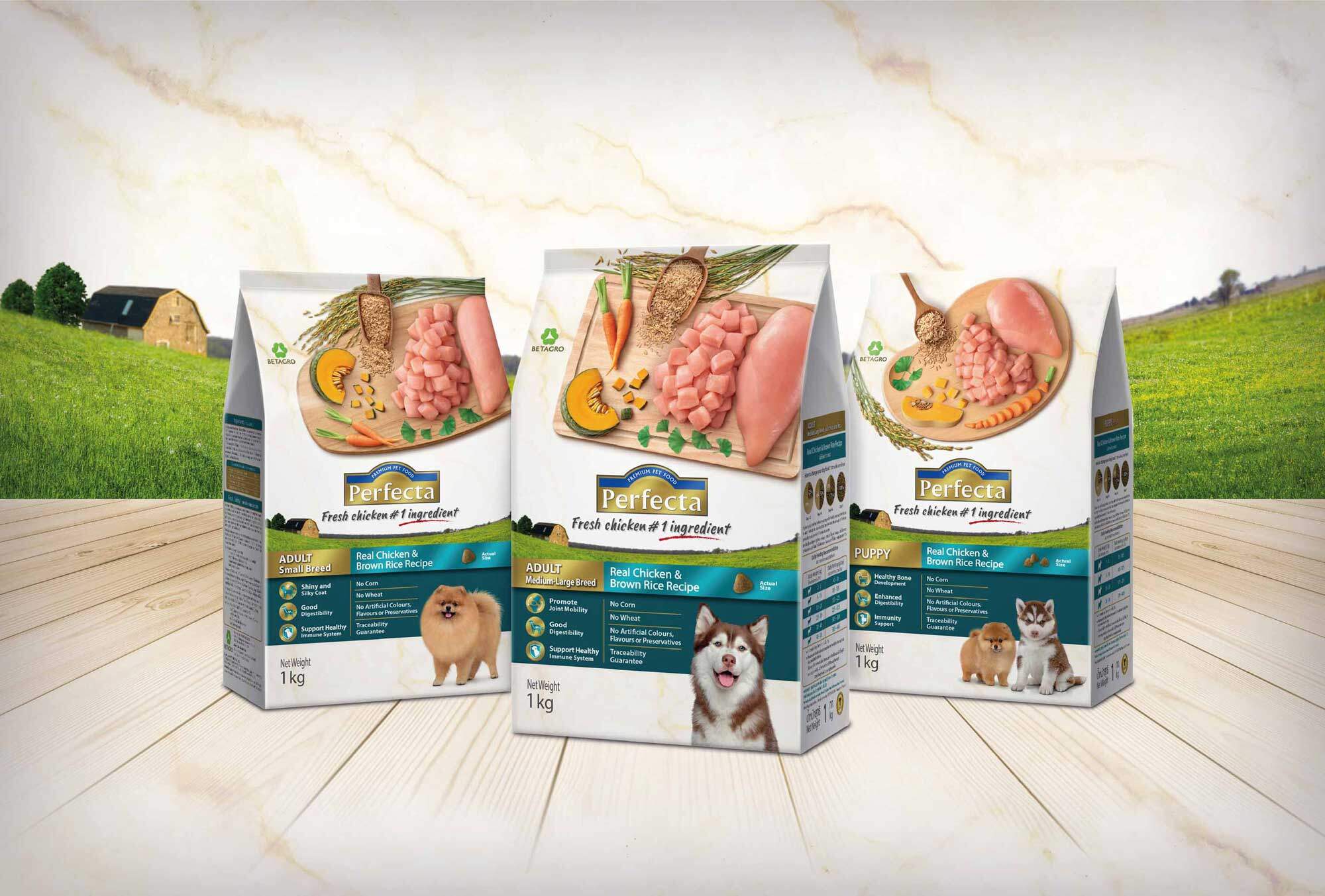 Perfecta : Packaging & Branding Design Project - strategic design agency