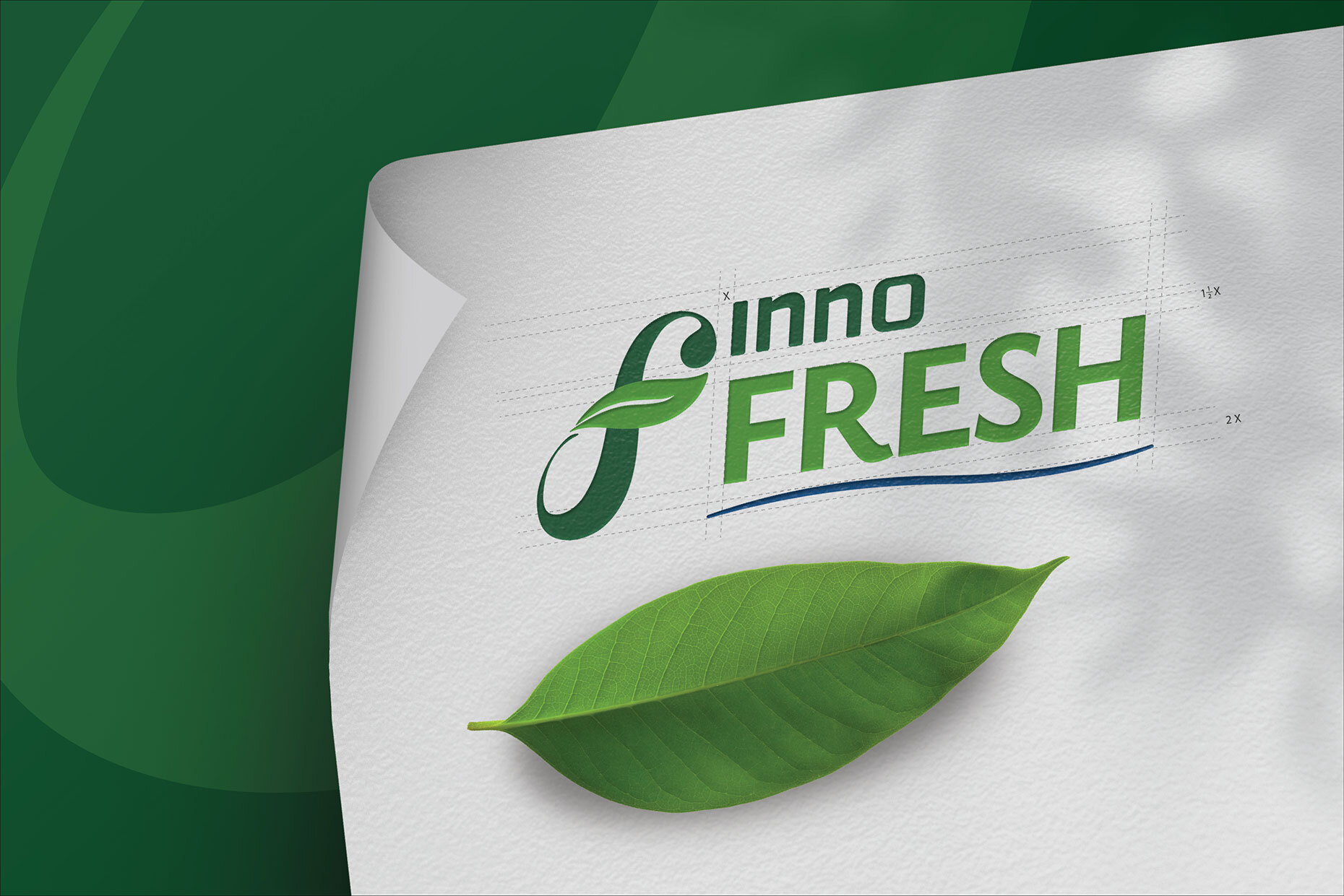 InnoFresh : Branding Design & CI Guideline Usage - strategic design agency