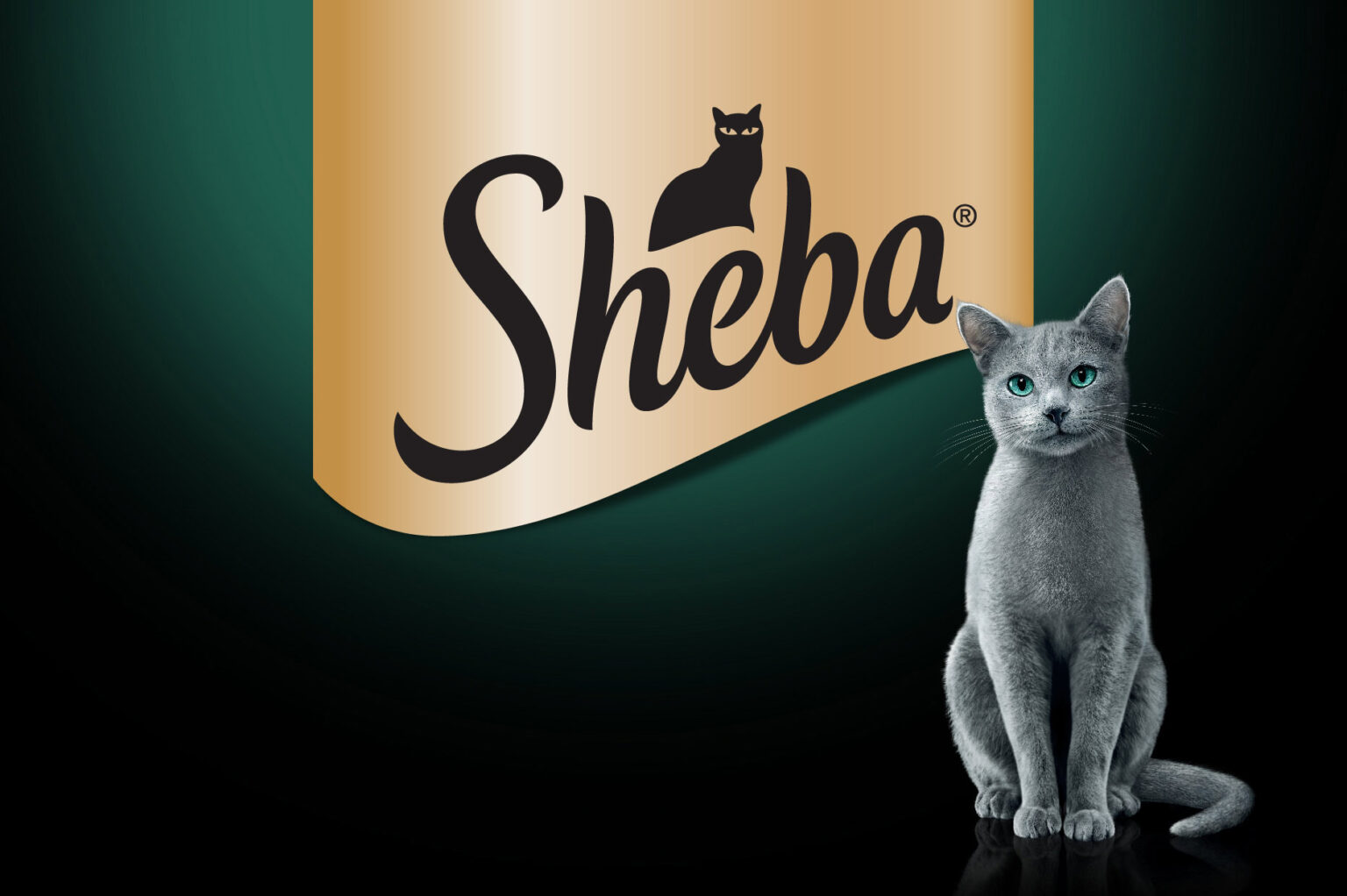 Sheba : Packaging Design Project/New Identity - strategic design agency