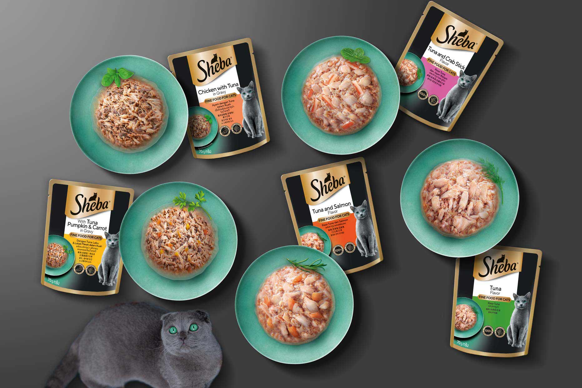 Sheba : Packaging Design Project/New Identity - strategic design agency