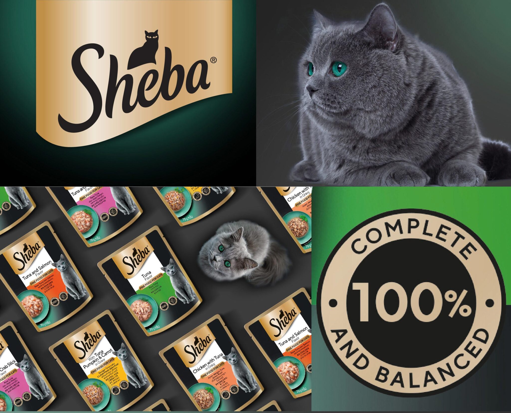 Sheba : Packaging Design Project/New Identity - strategic design agency