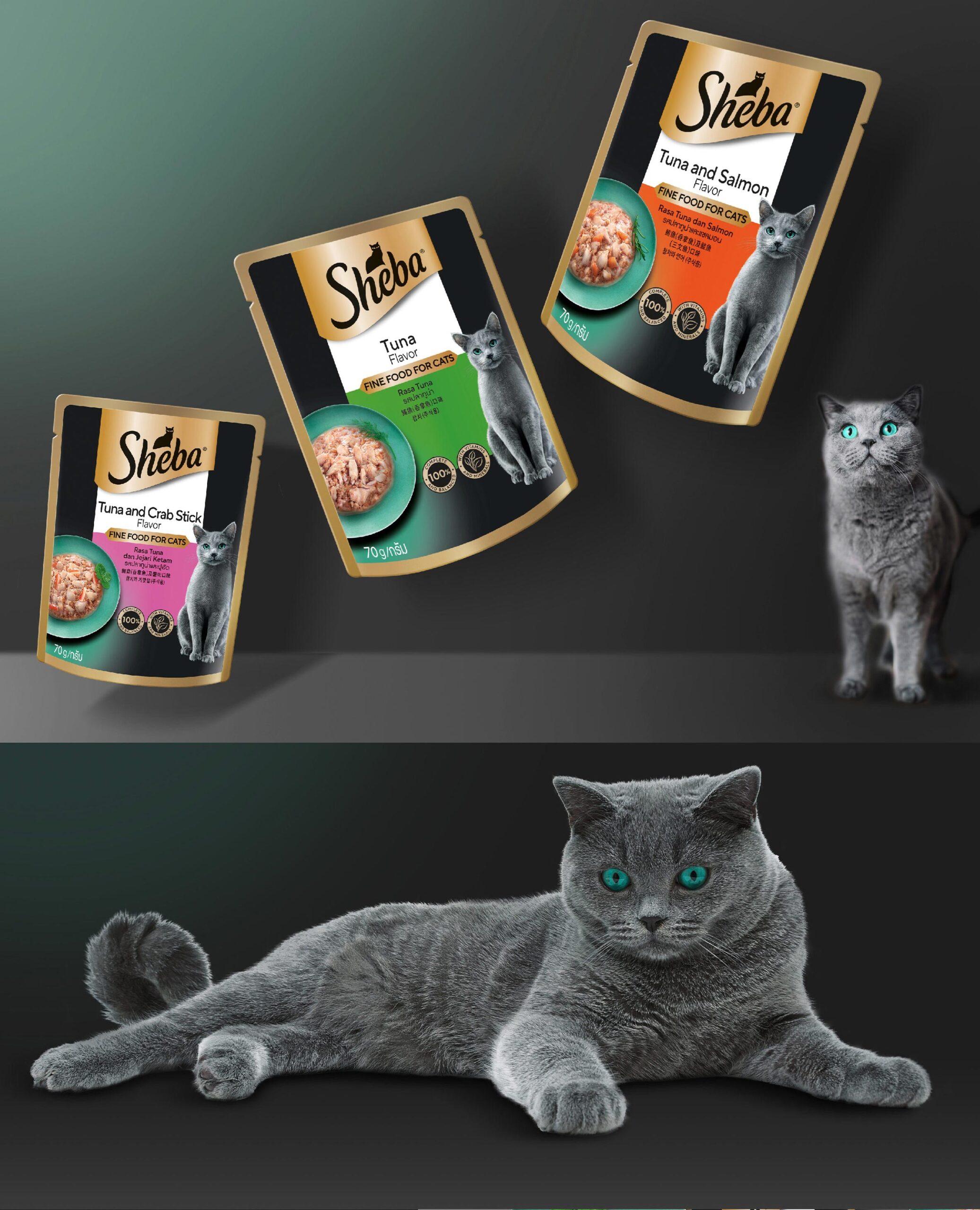 Sheba : Packaging Design Project/New Identity - strategic design agency