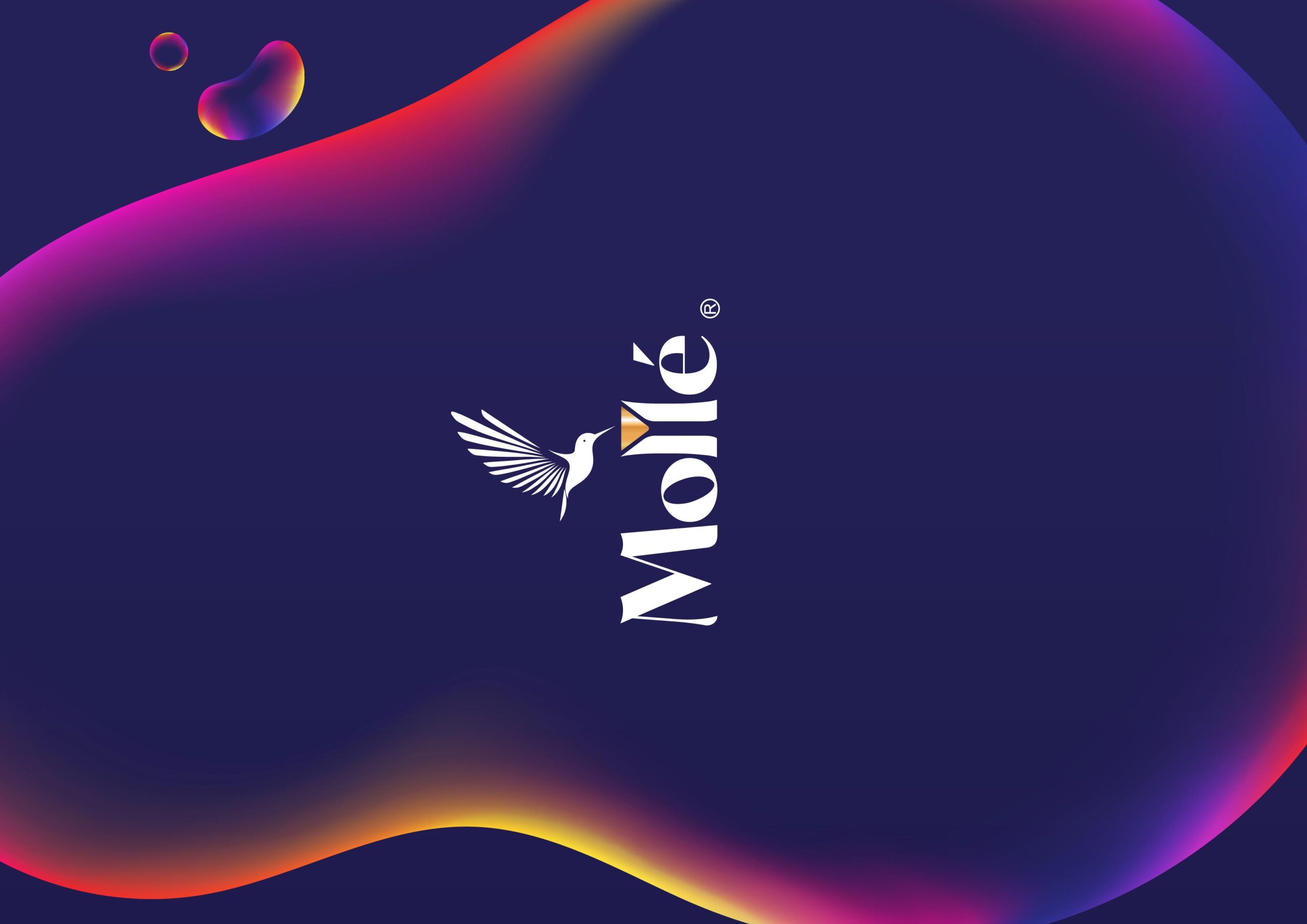 Molle – Flavoured Syrup : Graphic Element and Guideline Usage ...