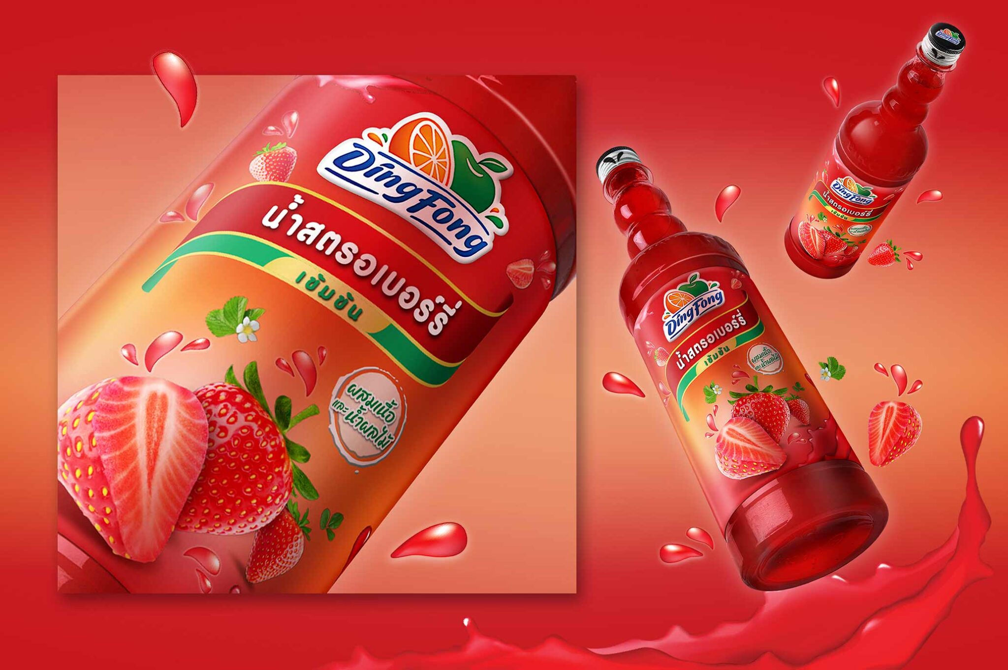 Ding Fong - Fruit Squash : Repackaging Design Project - strategic ...